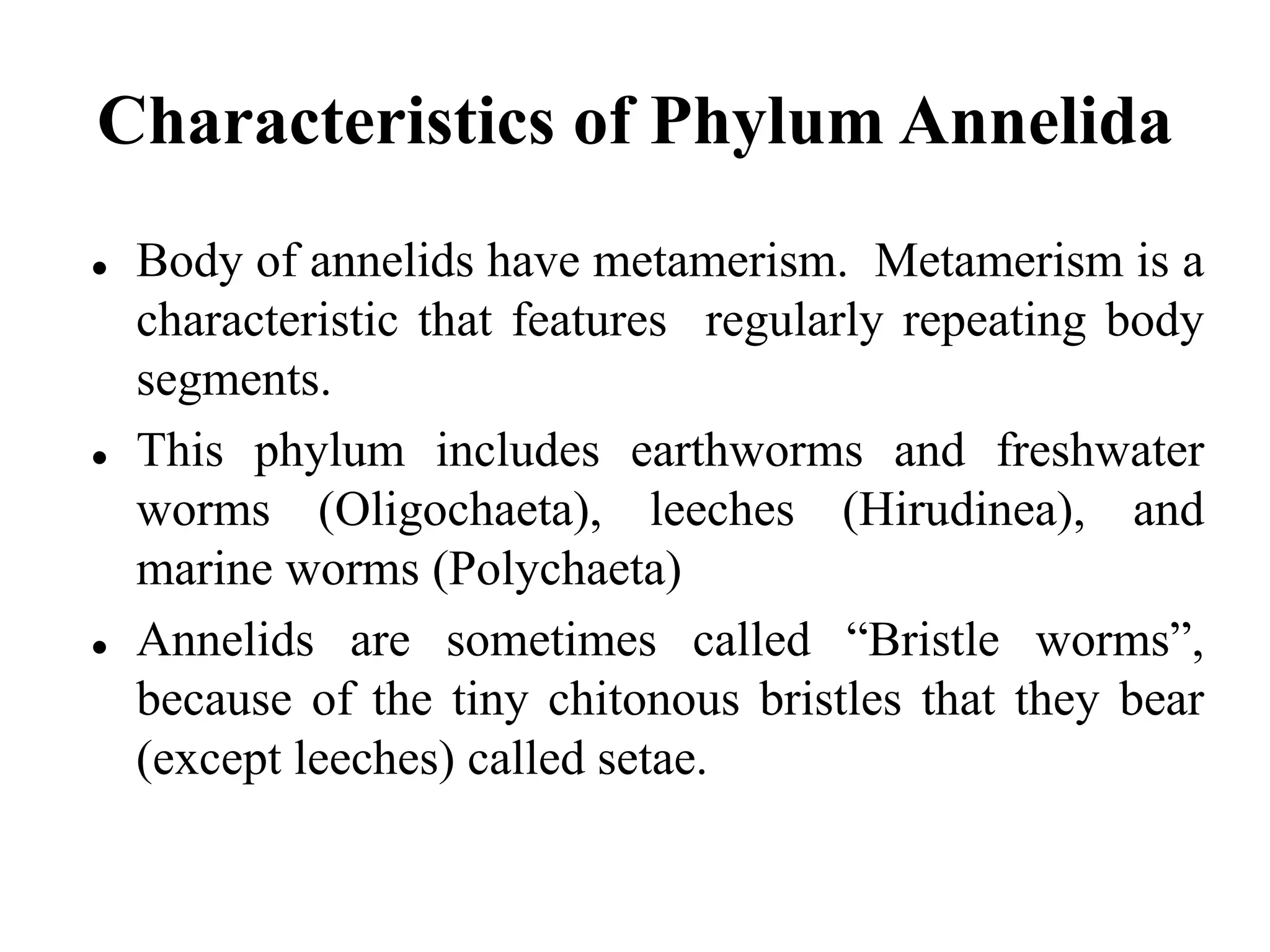 Phylum Annelida Characteristics