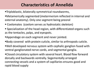 PHYLUM ANNELIDA.ppt