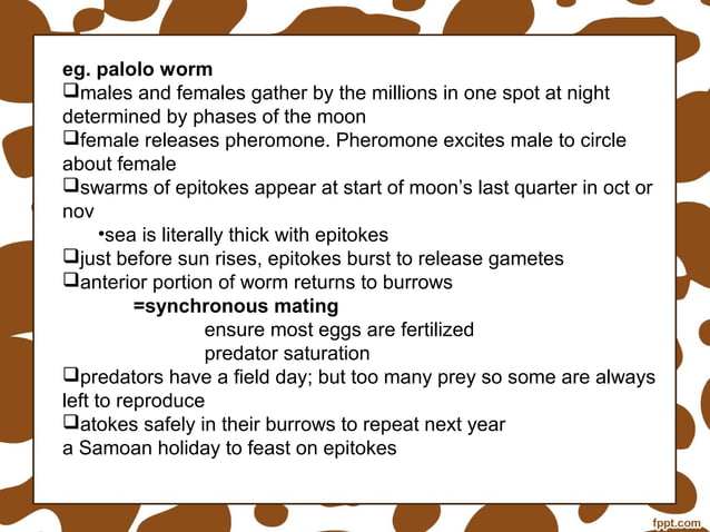 Phylum Annelida - Class Polychaeta, Class Oligochaeta, Class Hirudinea ...
