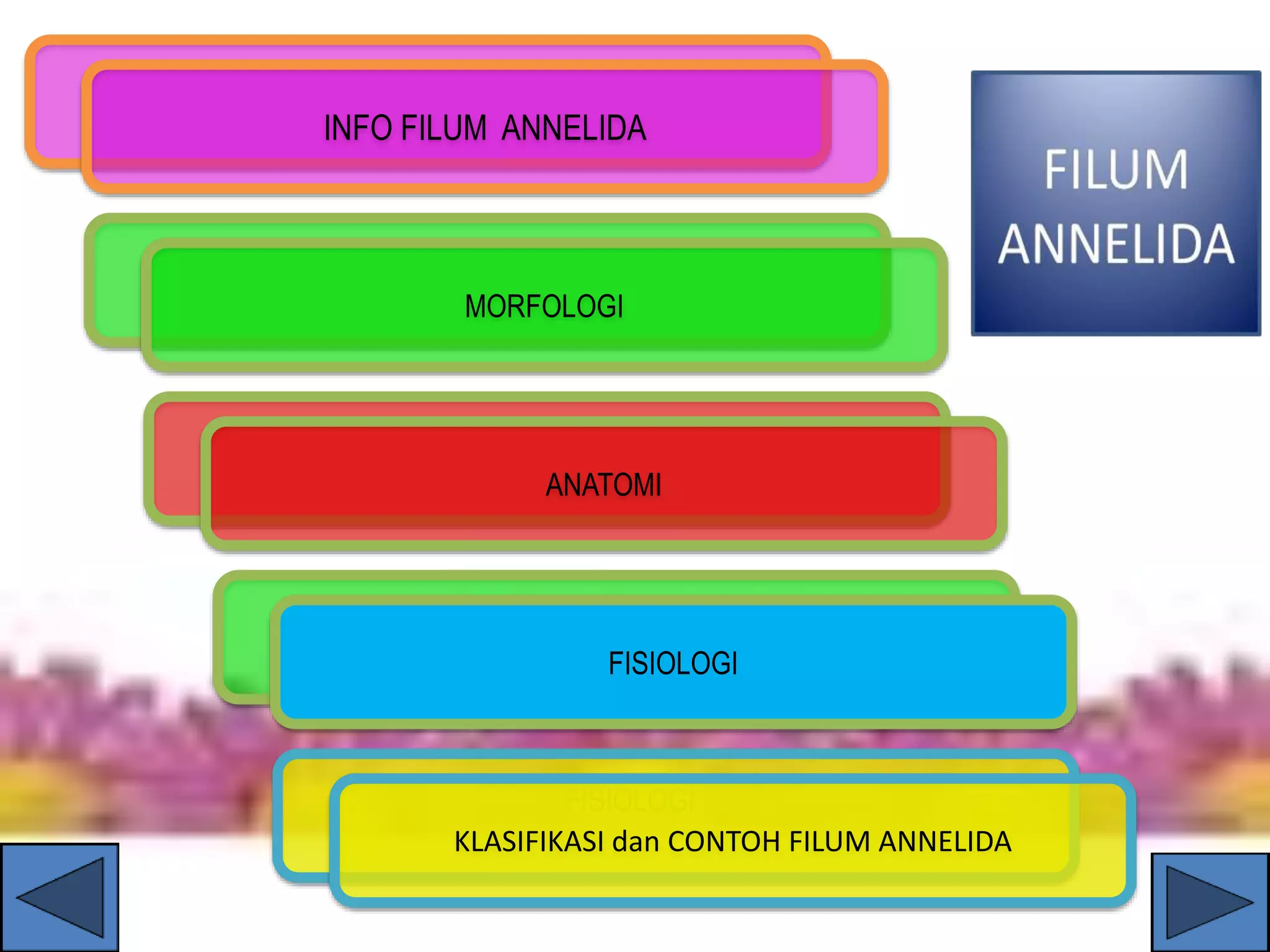 Phylum Annelida | PPTX