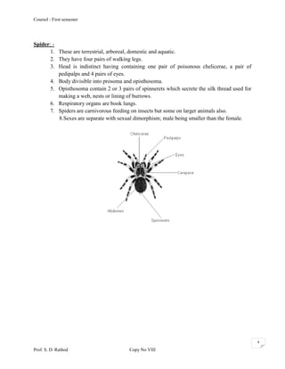 Phylum arthropoda | PDF | Pets