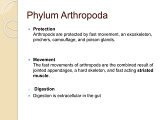 Phylum Arthropoda M.Ishaq ICP | PPTX