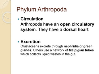 Phylum Arthropoda M.Ishaq ICP | PPTX