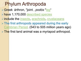Phylum Arthropoda M.Ishaq ICP | PPTX