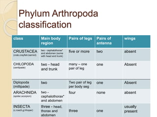 Phylum Arthropoda M.Ishaq ICP | PPTX | Biological Sciences | Science