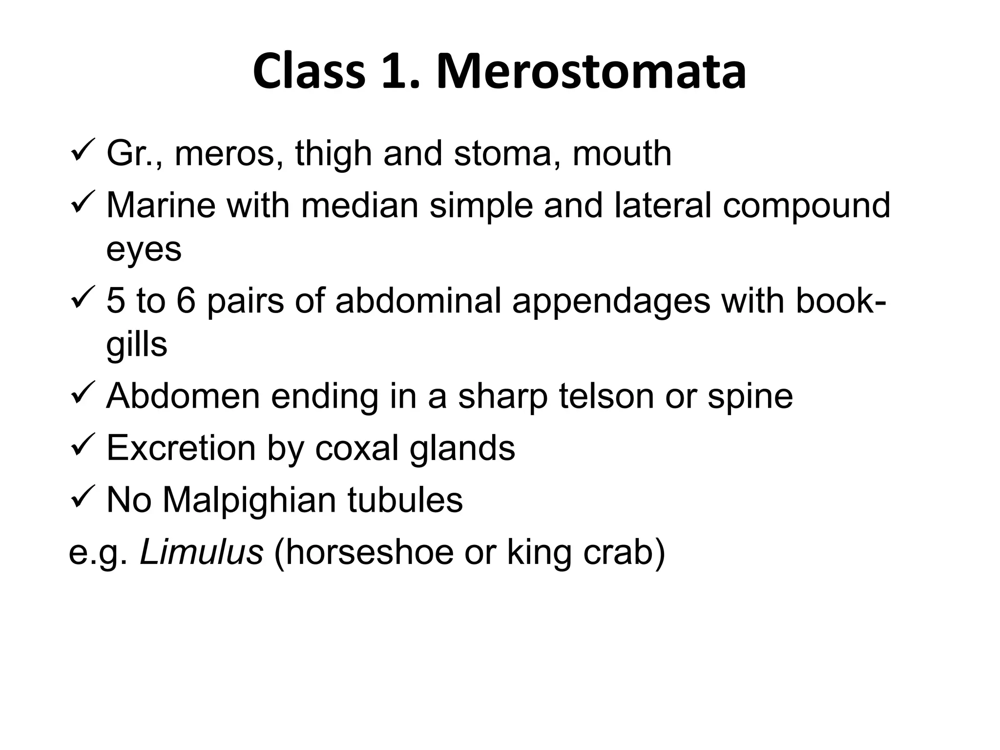 arthropoda Phylum | PDF
