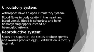 Phylum arthropoda | PPTX | Reproductive Health | Diseases and Conditions