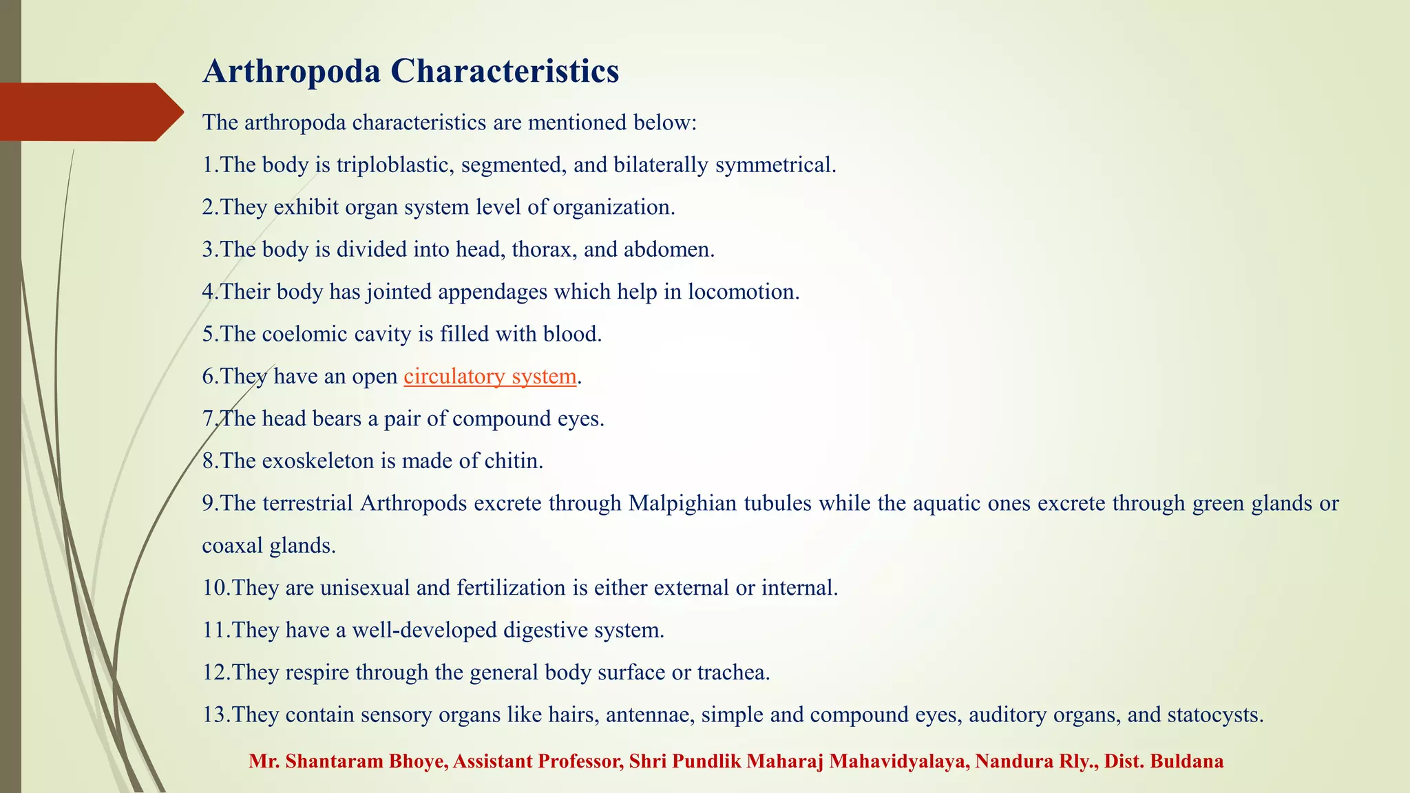 Phylum Arthropoda.pptx