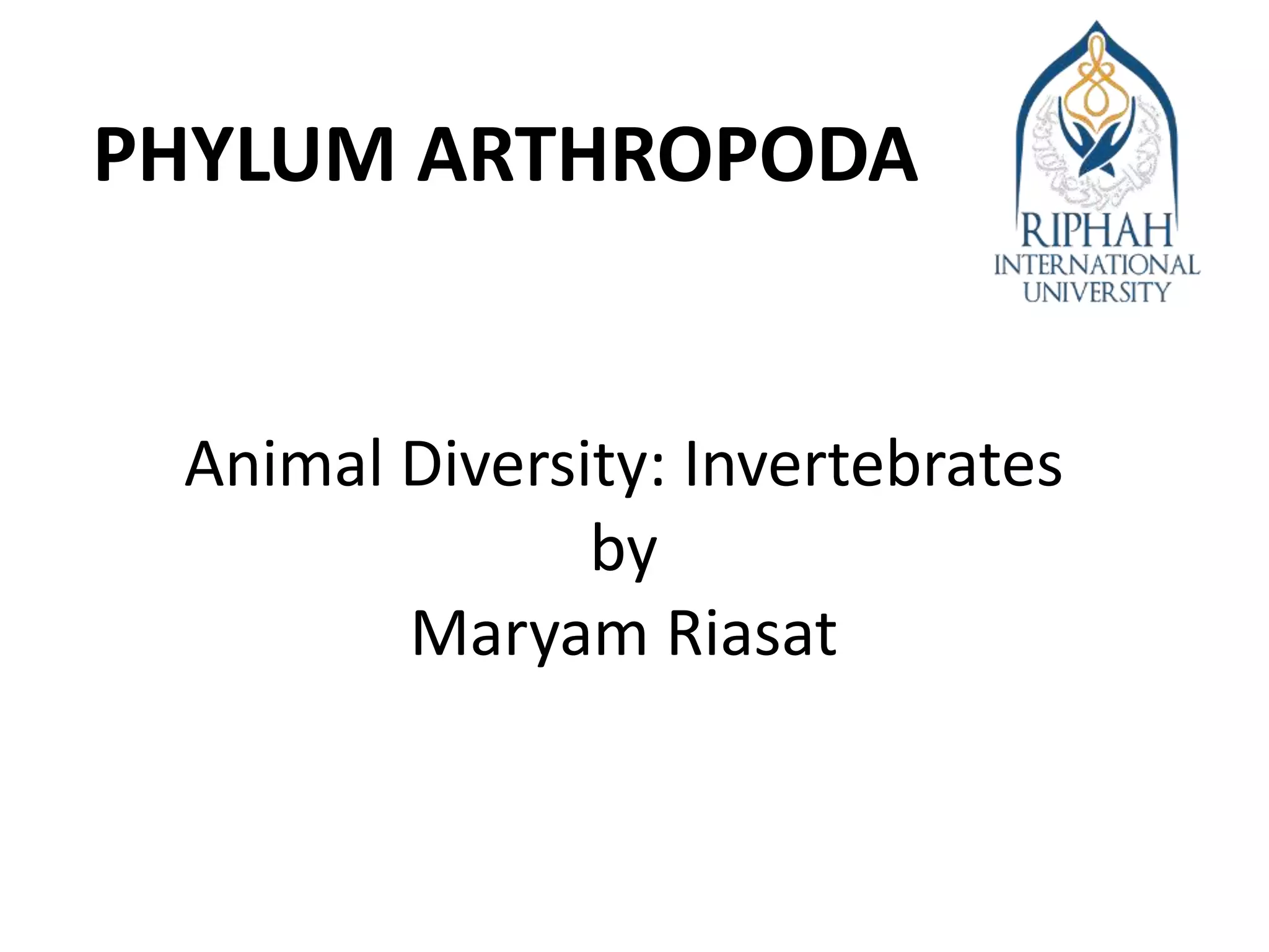 Phylum Arthropoda.pptx
