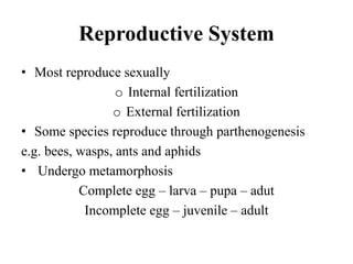 Phylum Arthropoda.pptx