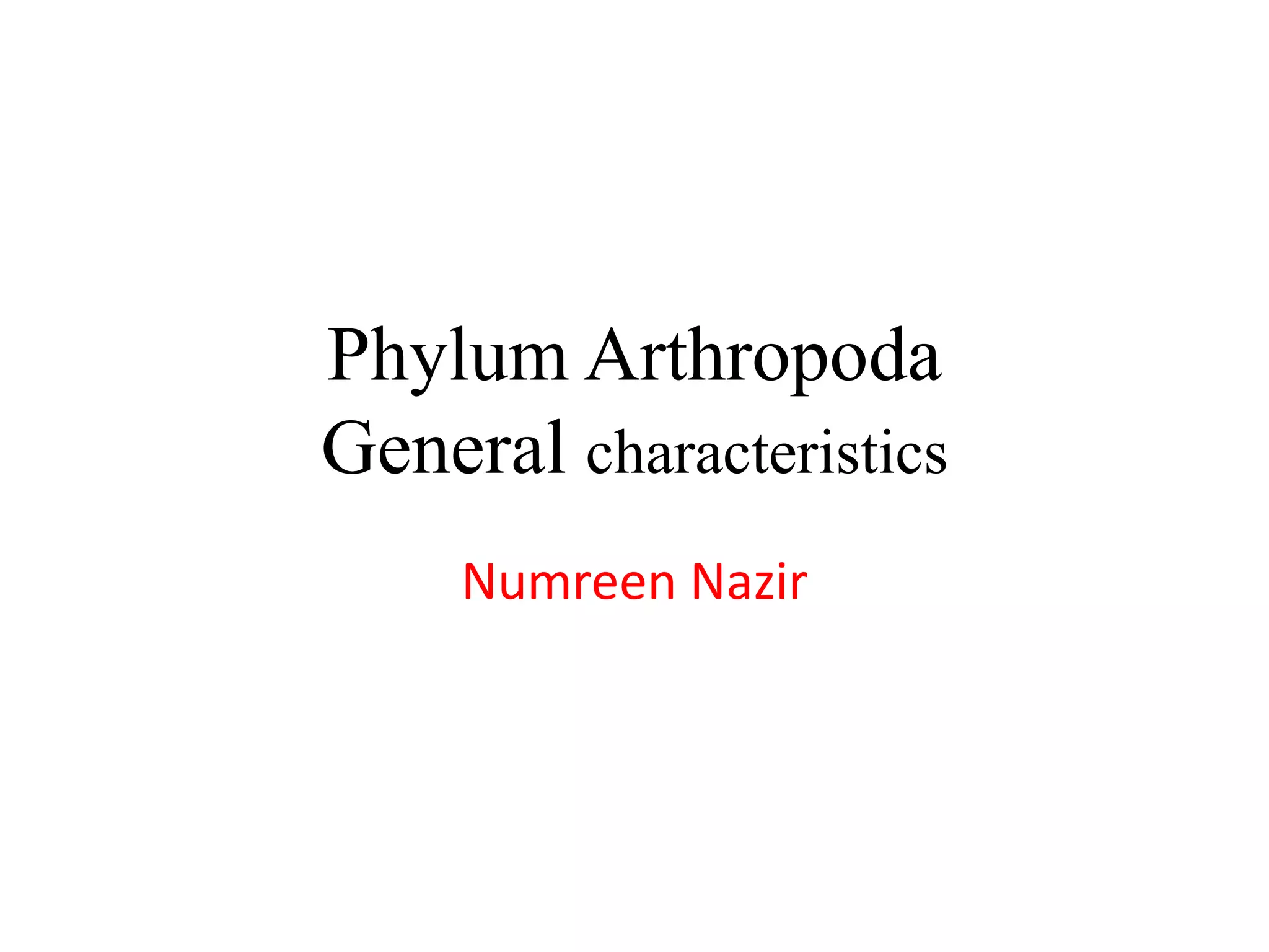 Phylum Arthropoda.pptx