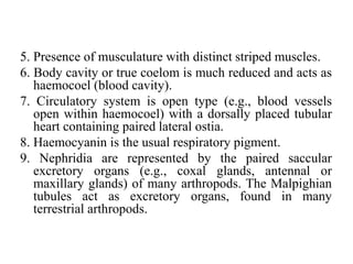 Phylum Arthropoda.pptx