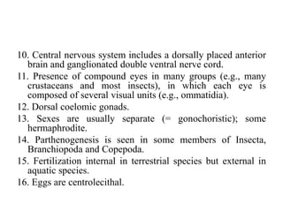 Phylum Arthropoda.pptx