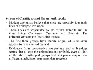 Phylum Arthropoda.pptx