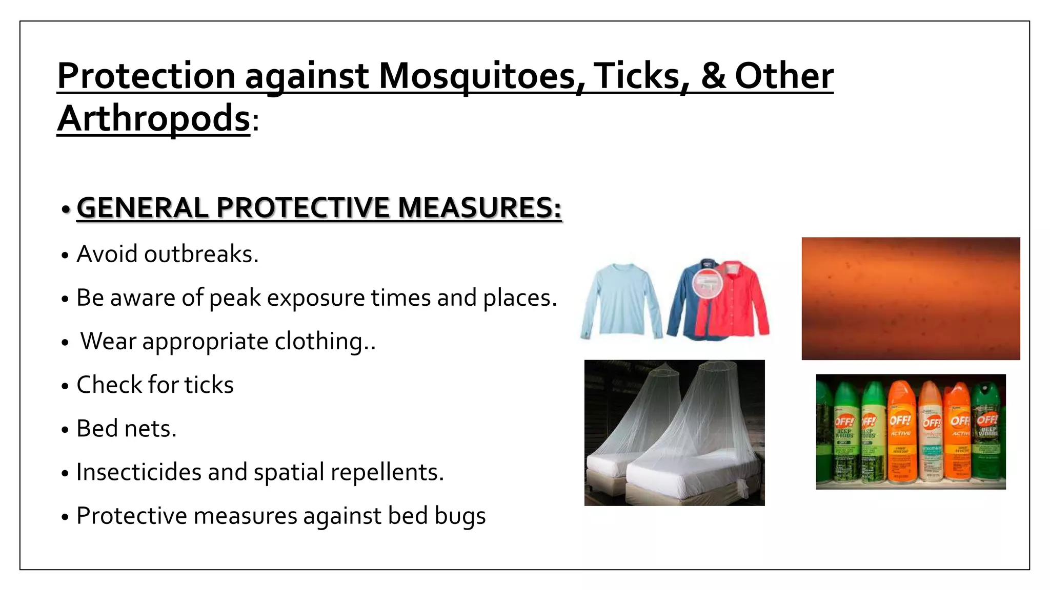 Phylum arthropoda(arthropod characteristics) | PPTX