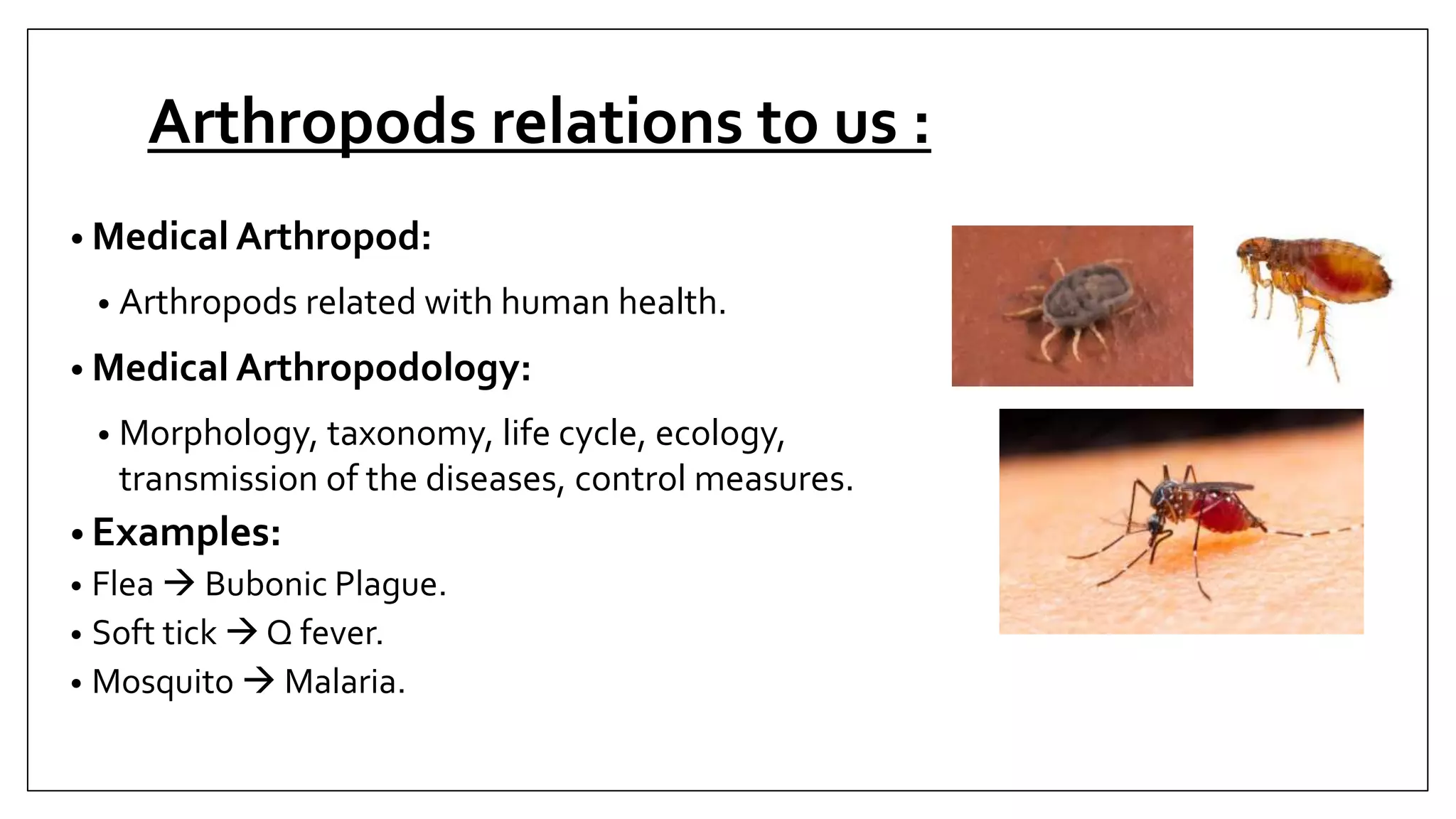 Phylum arthropoda(arthropod characteristics) | PPTX