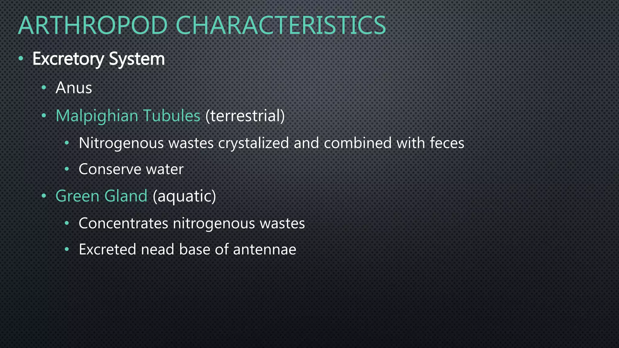 Phylum arthropoda characteristics | PPTX