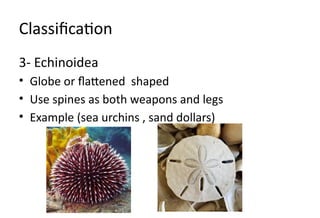 Phylum Arthropoda & Echinodermata 0.2.pptx