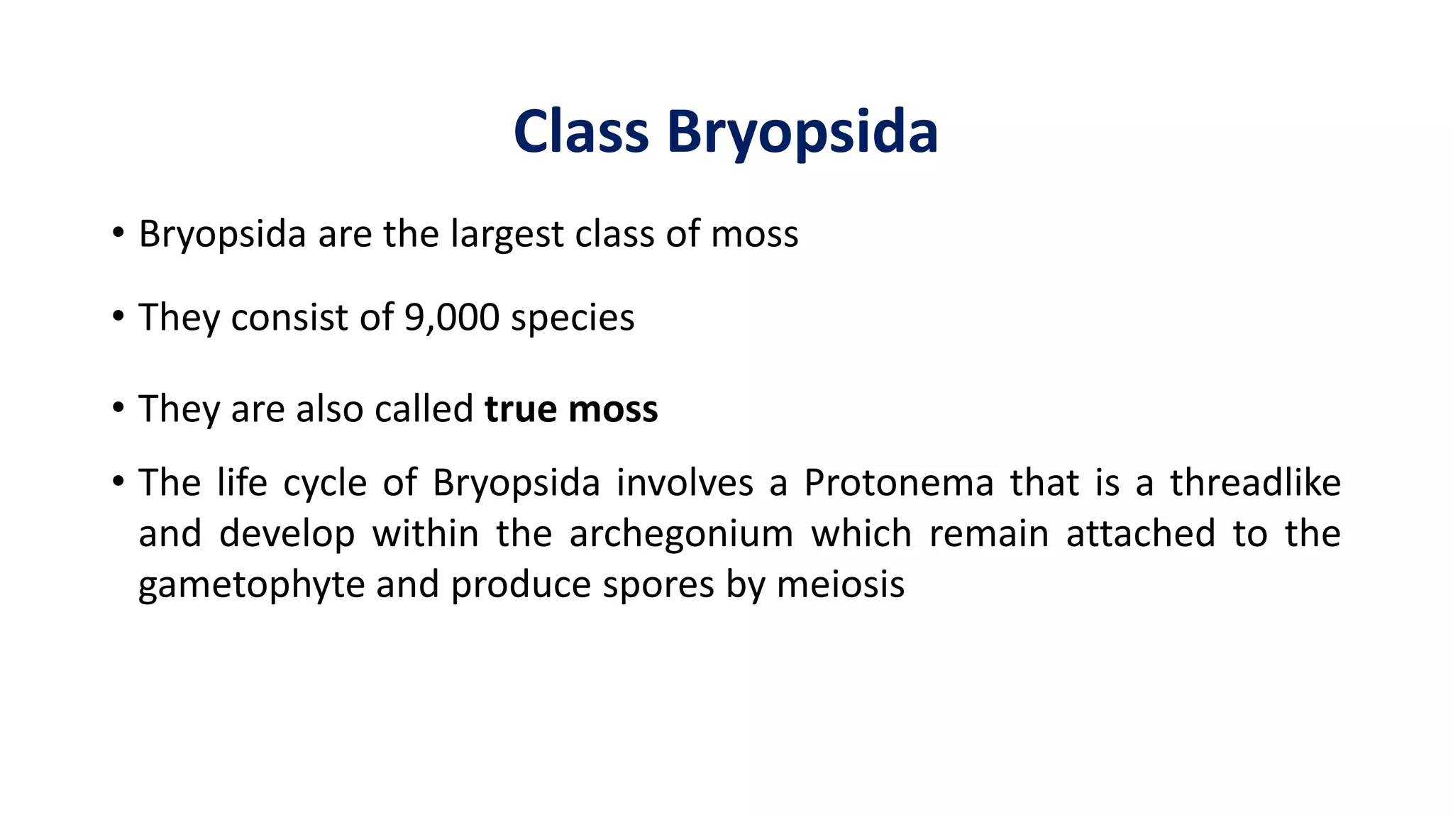 Phylum Bryophyta (mosses) | PPTX