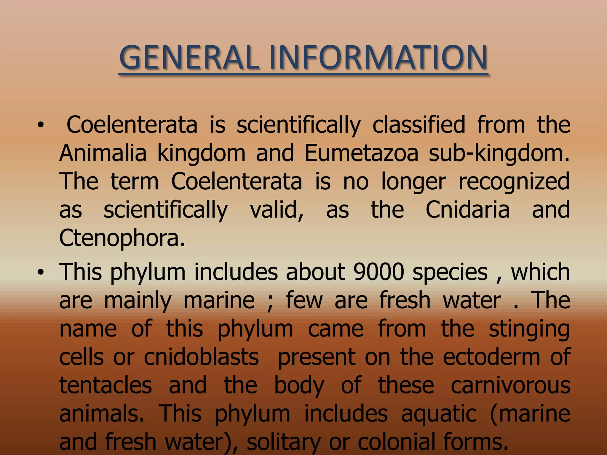 Phylum ceolentrata | PPTX