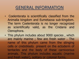 Phylum ceolentrata | PPTX