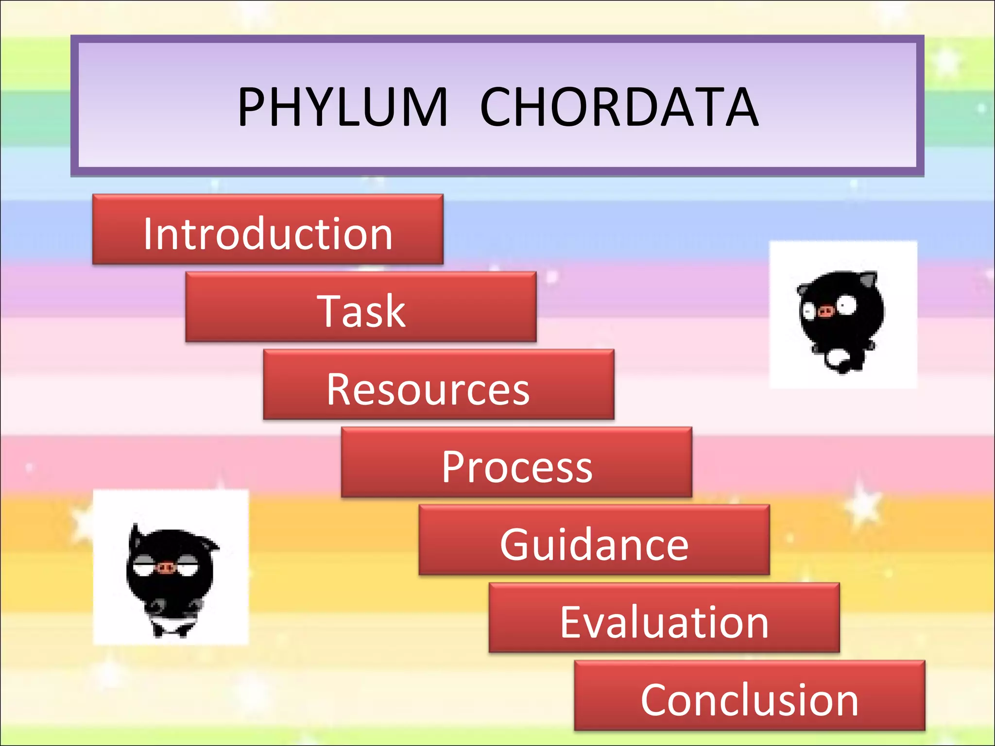 Phylum chordata | PPT