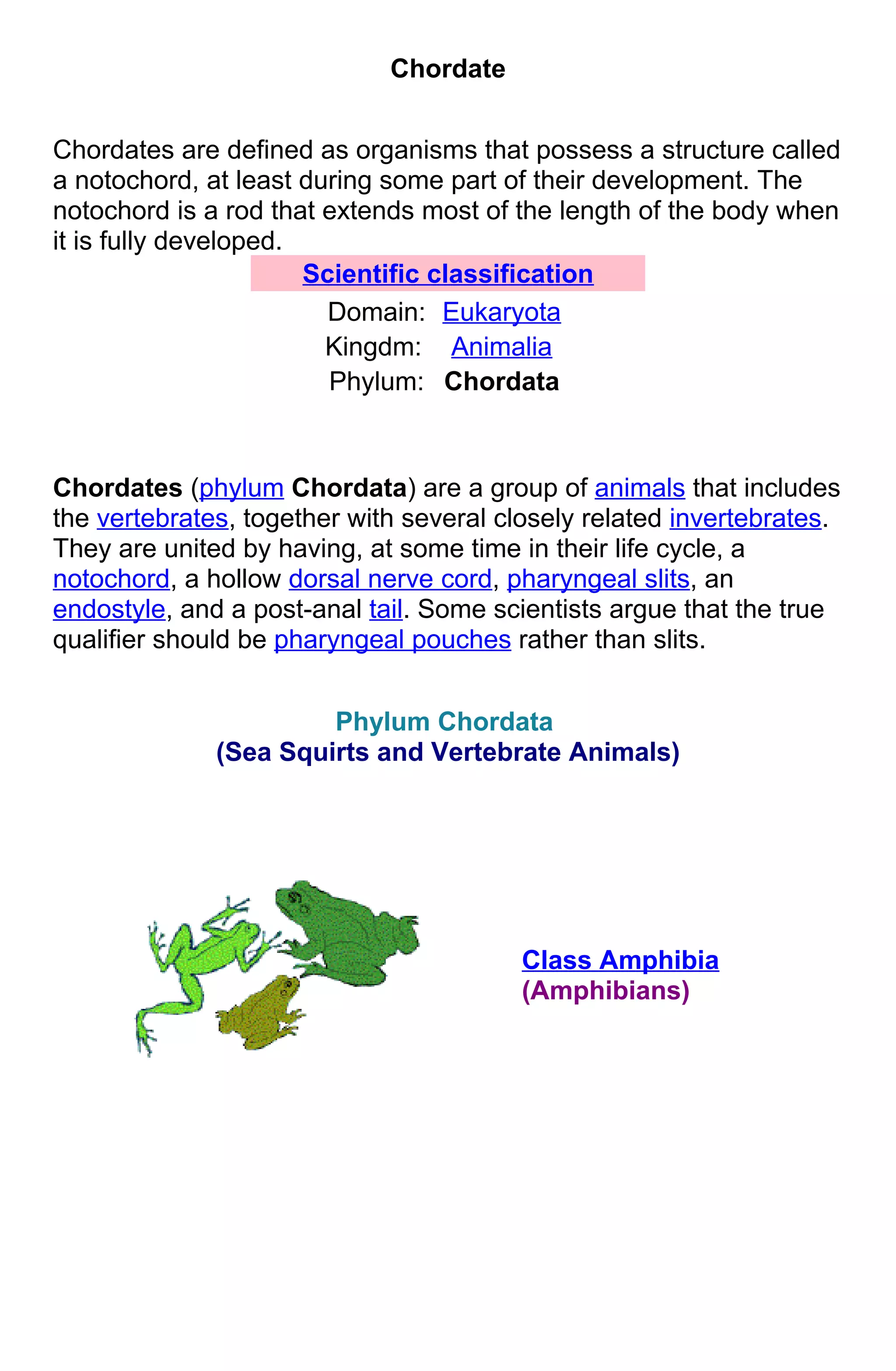 Phylum chordata | DOC