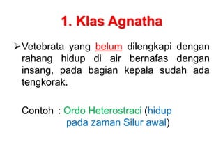 Phylum chordata | PPTX