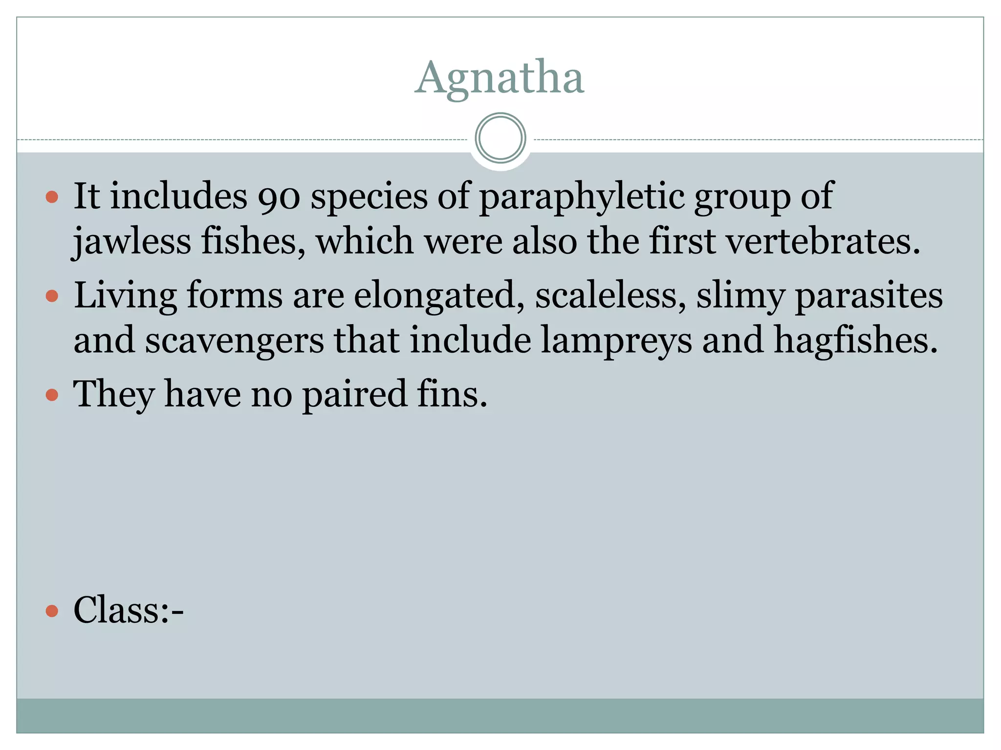 Phylum chordata - zoology | PPTX