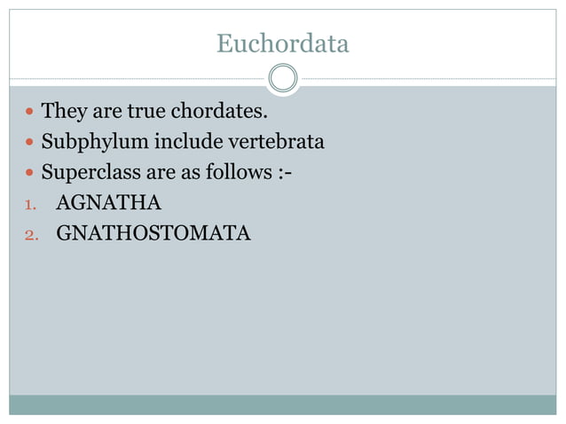 Phylum chordata - zoology | PPTX | Fish and Aquariums | Pets