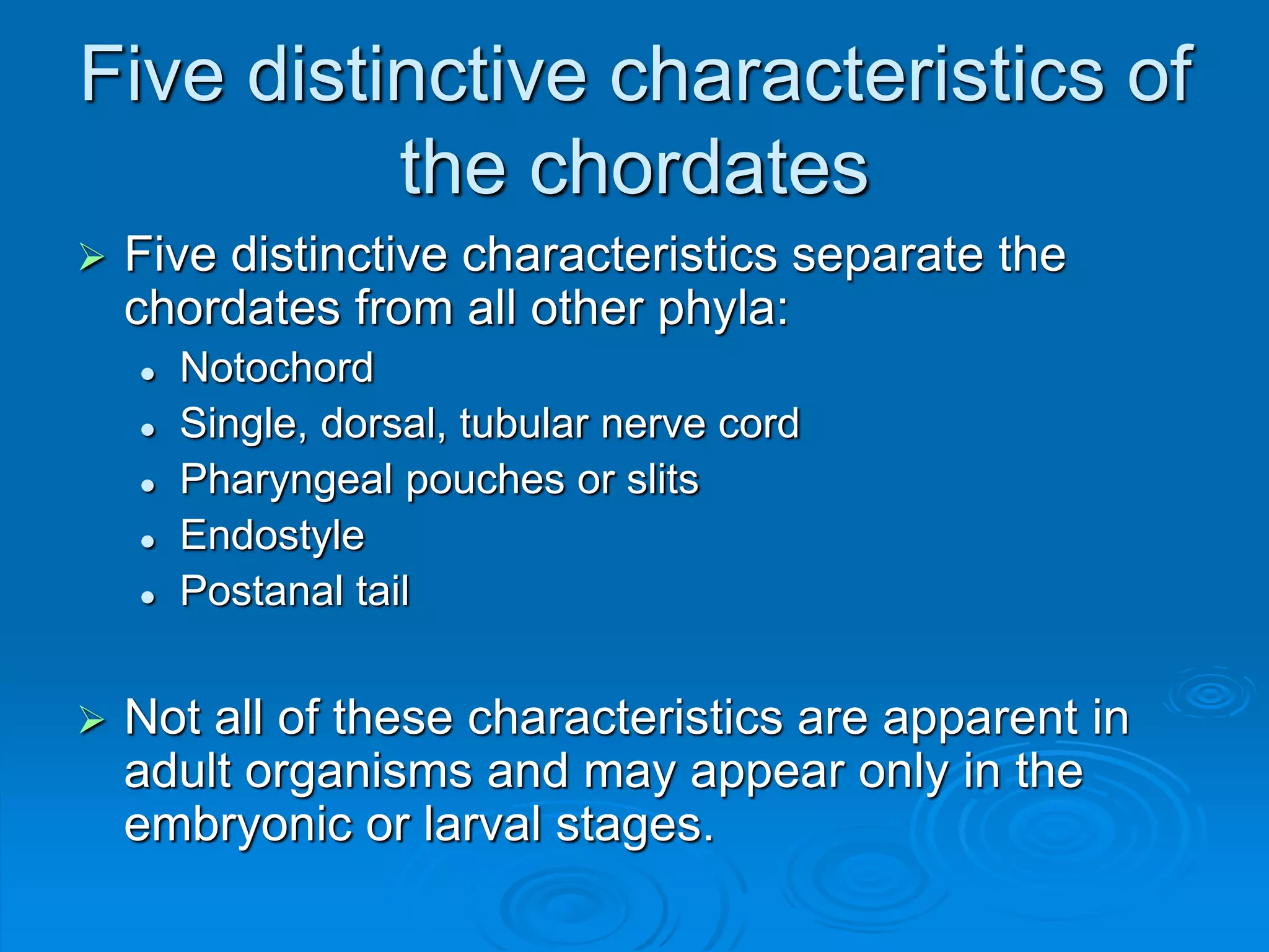PhylumChordataIntroductionGeneralfeaturesStructure.ppt