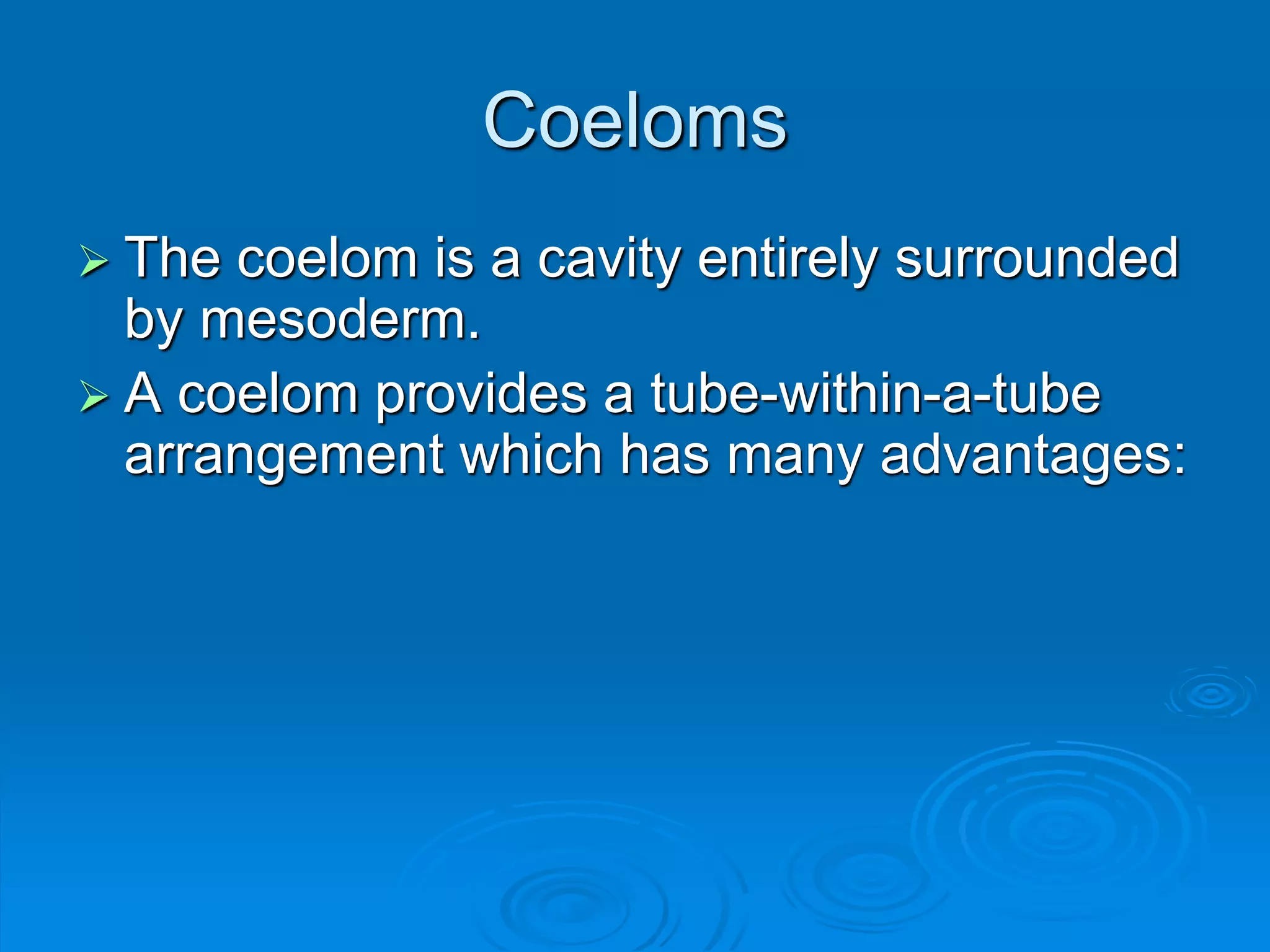 PhylumChordataIntroductionGeneralfeaturesStructure.ppt