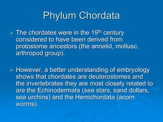 PhylumChordataIntroductionGeneralfeaturesStructure.ppt | Biological ...