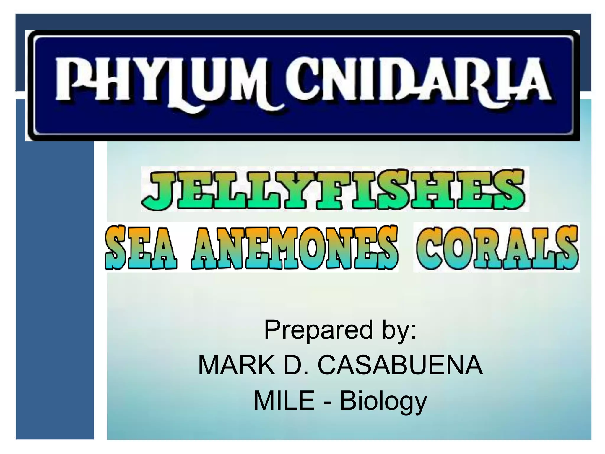 Phylum Cnidaria | PPTX