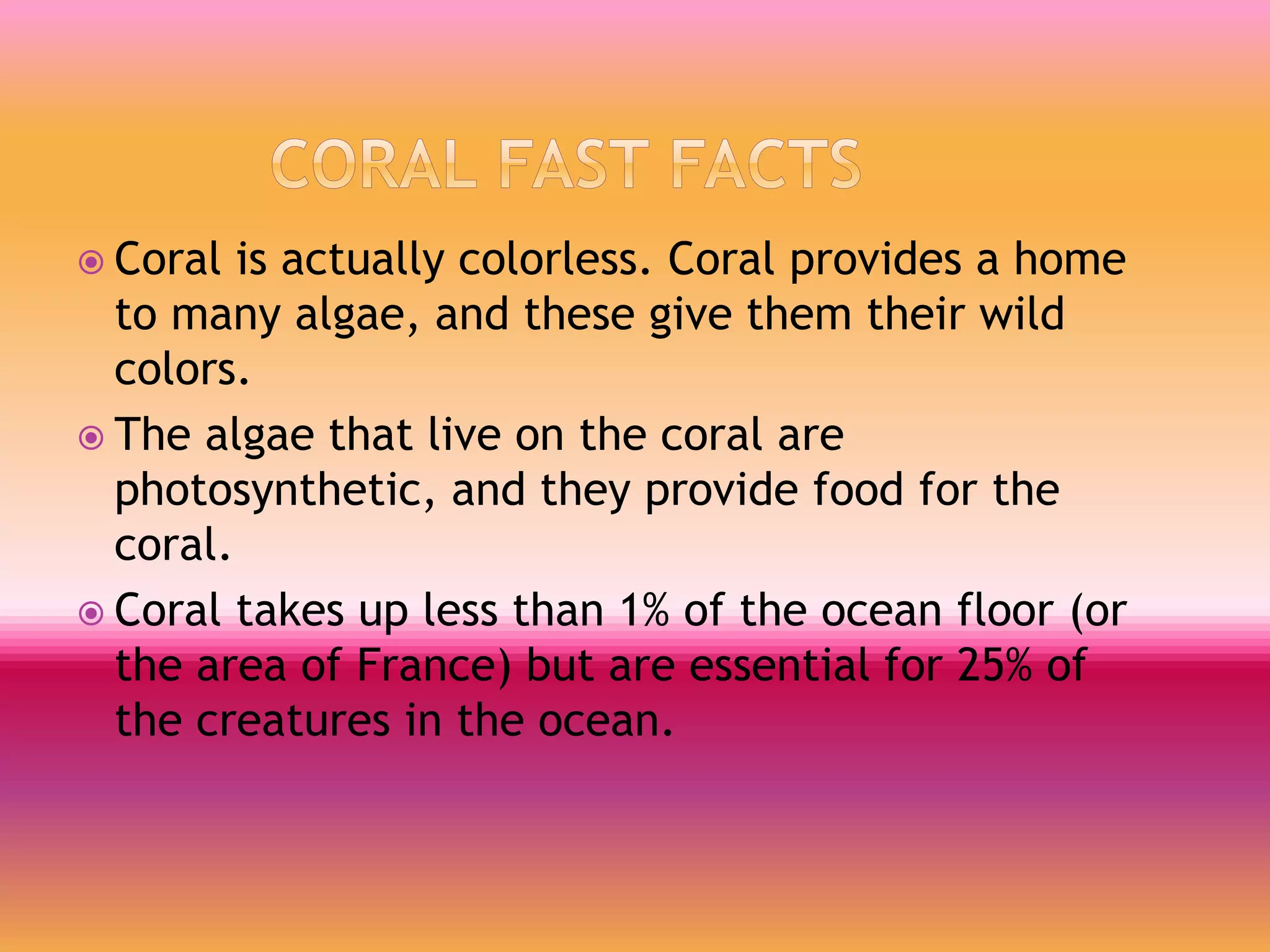Phylum cnidaria report | PPT