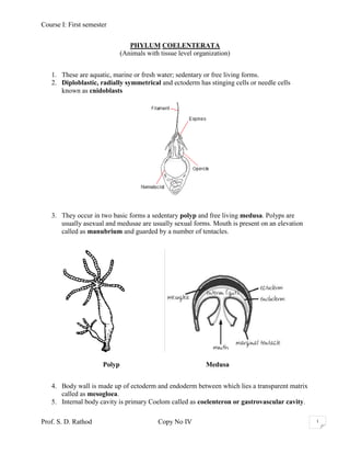 Coelenterata Diagram