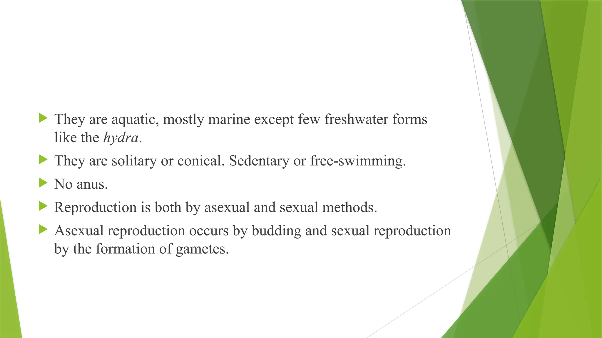 PHYLUM COELENTERATA (CNIDARIAN) CHARACTERISTICS | PPTX