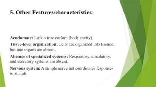 PHYLUM COELENTERATA (CNIDARIAN) CHARACTERISTICS | PPTX