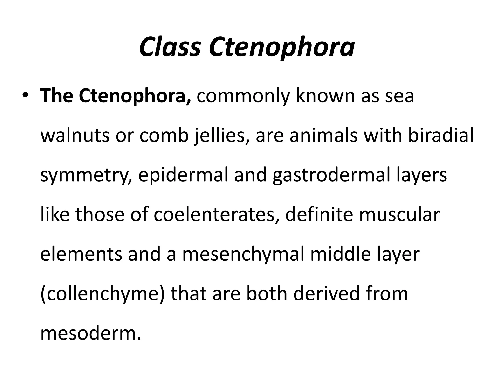 PHYLUM COELENTERATA (Cnidaria).pptx