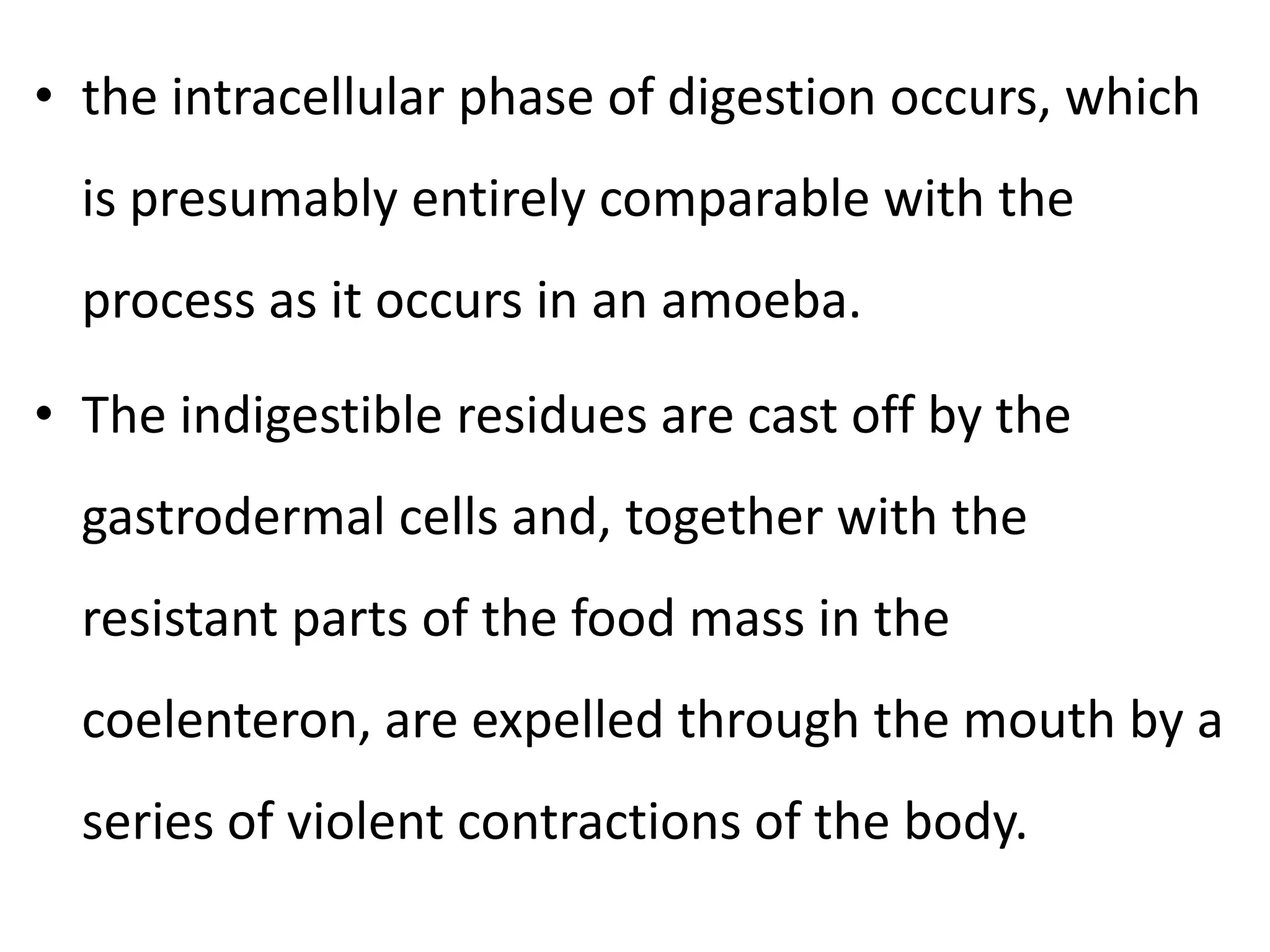 PHYLUM COELENTERATA (Cnidaria).pptx
