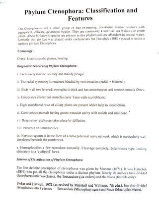 Phylum Ctenophora Classification.pdf