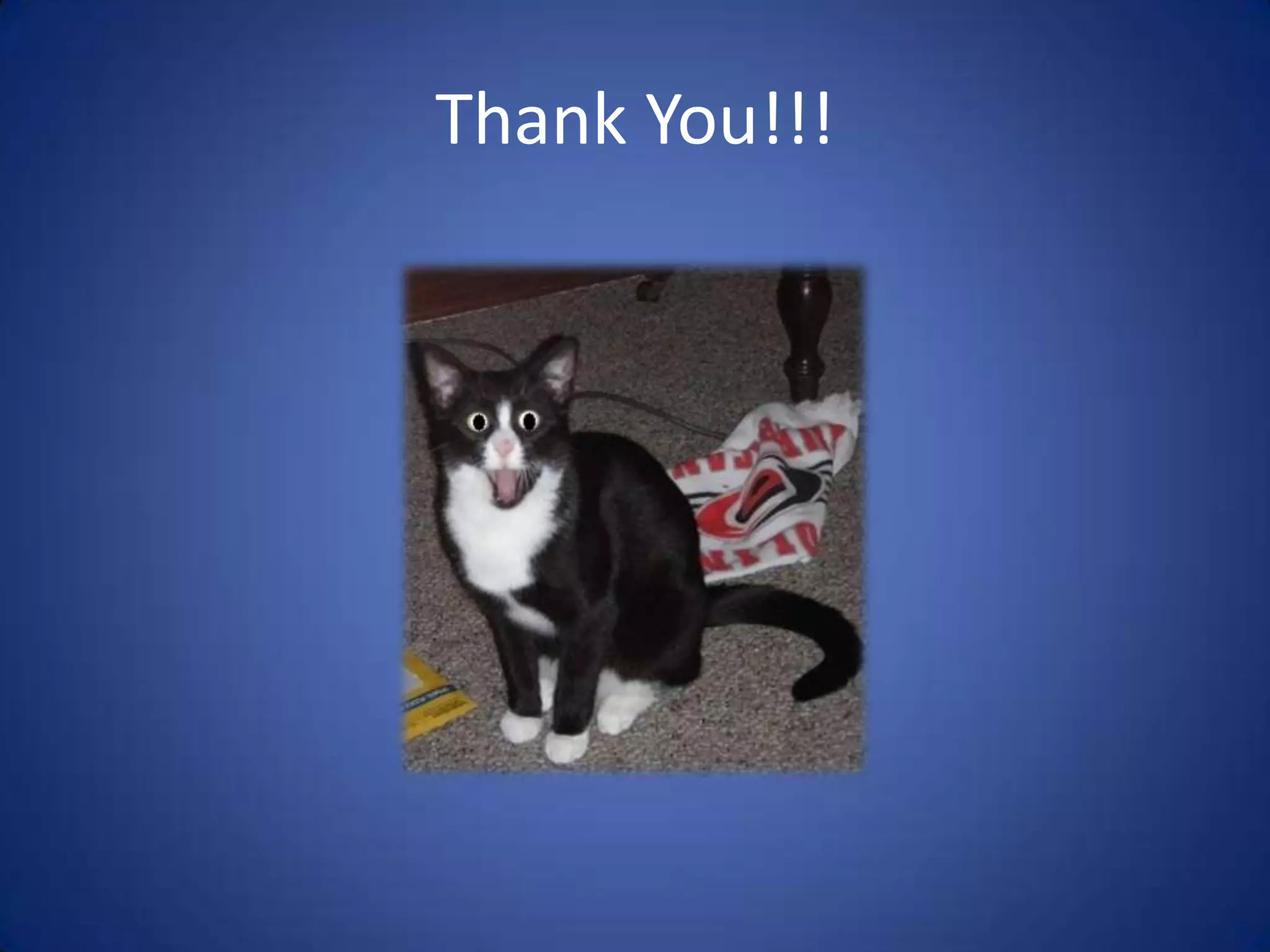 Phylum Cycliophora | PPTX | Infertility | Reproductive Health