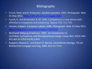 Phylum Cycliophora | PPTX | Infertility | Reproductive Health