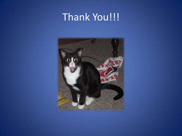 Phylum Cycliophora | PPTX | Infertility | Reproductive Health