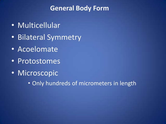 Phylum Cycliophora | PPTX | Infertility | Reproductive Health