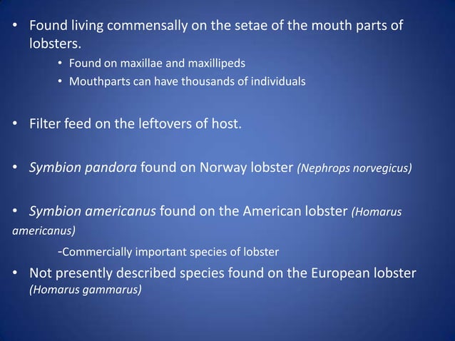 Phylum Cycliophora | PPTX | Infertility | Reproductive Health