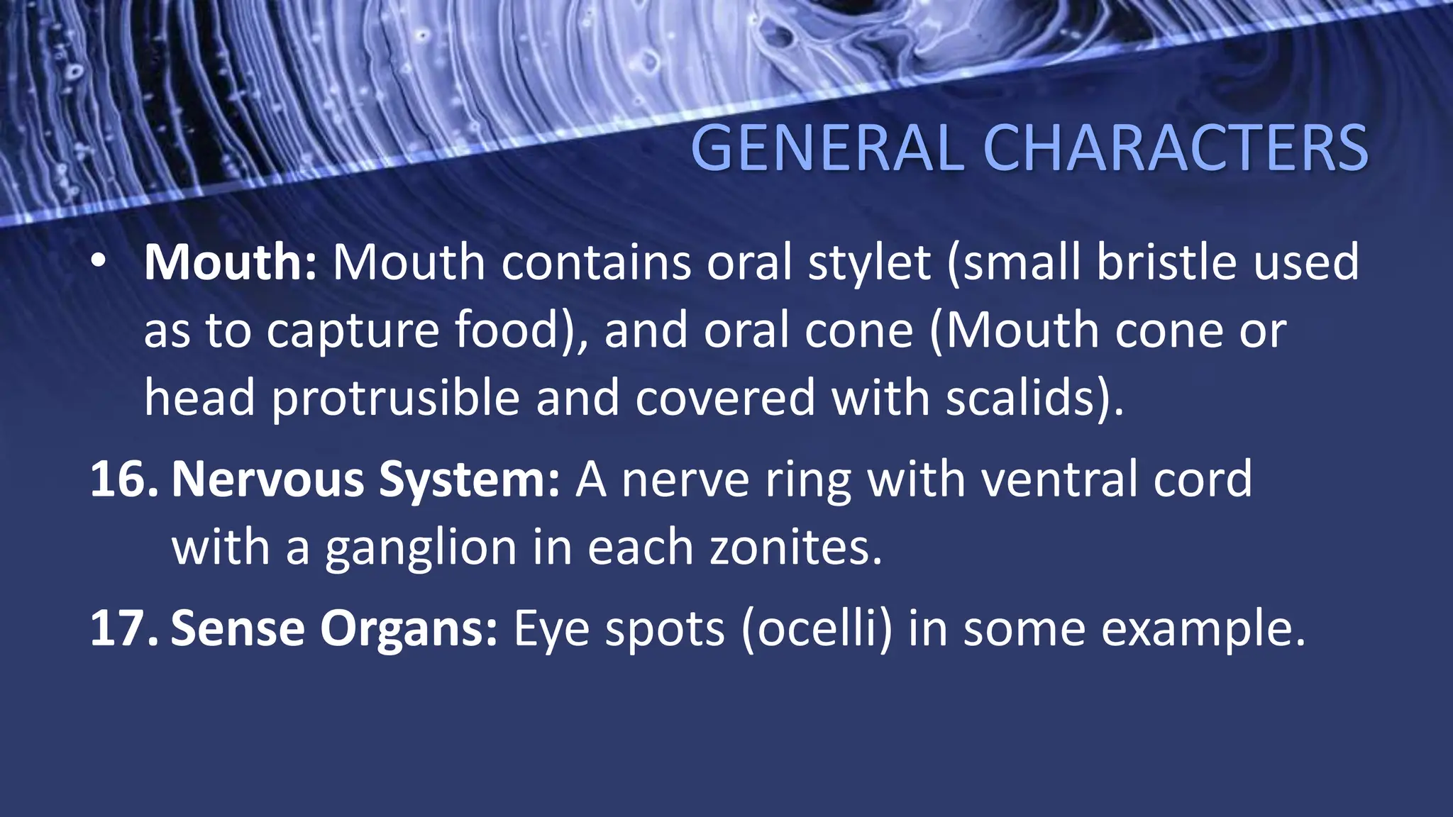 Animal Phylum Kinorhyncha the mud dragons | PPTX