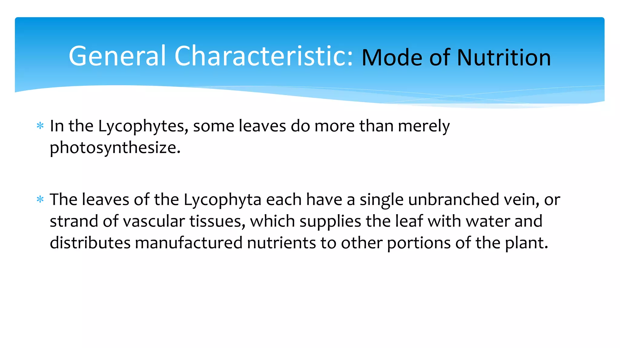 Phylum lycophyta (Club mosses, Spike mosses & Quillworts) | PPTX ...