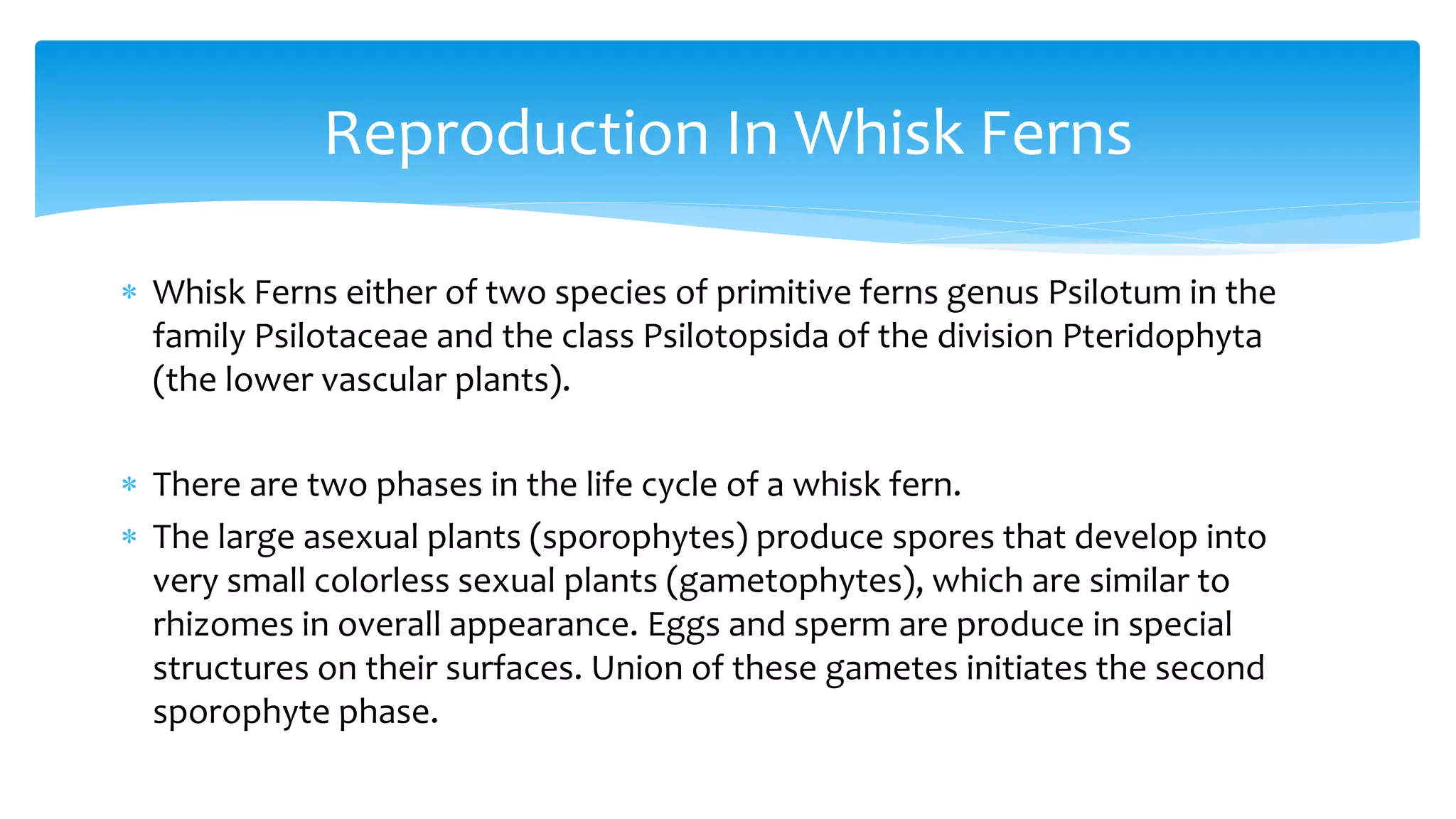 Phylum lycophyta (Club mosses, Spike mosses & Quillworts) | PPTX