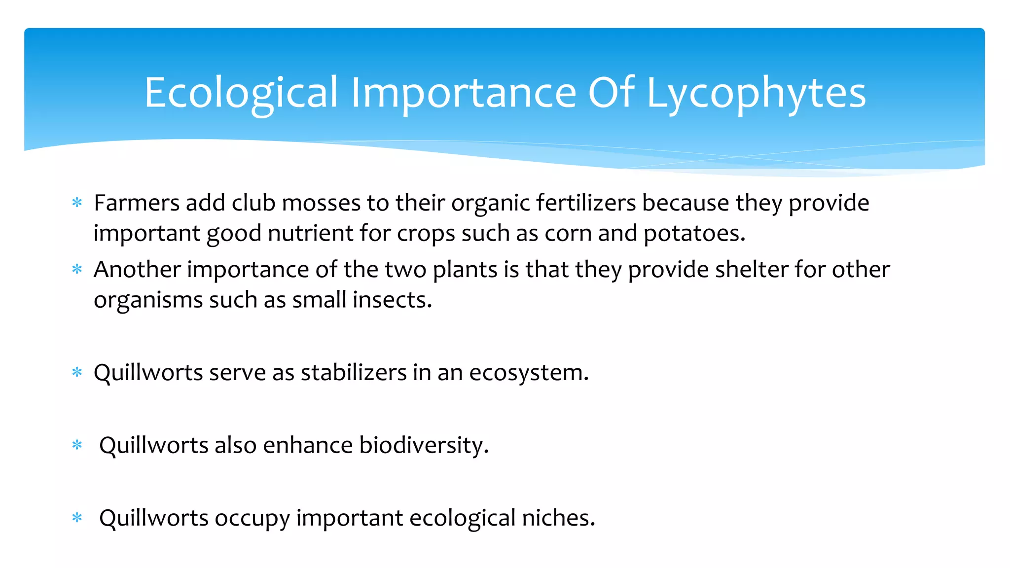 Phylum lycophyta (Club mosses, Spike mosses & Quillworts) | PPTX ...